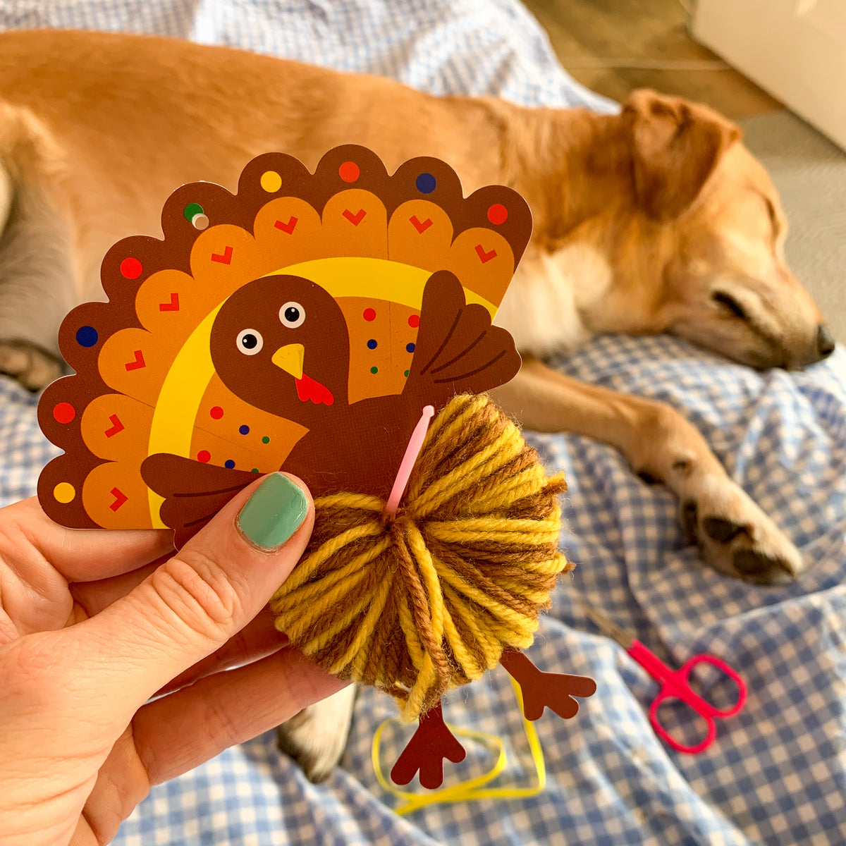 Pom Pom Turkey Kit – Hannah Bass